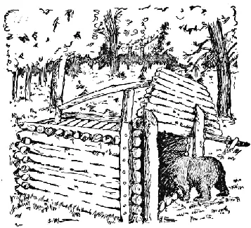 Bears. Learning The New Land, By Ed Theriau.